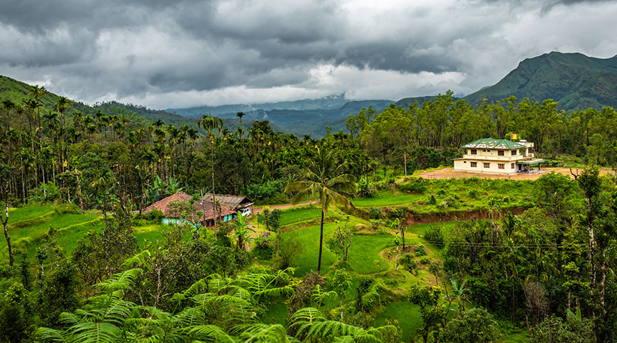 A Relaxing Trip to Coorg in July